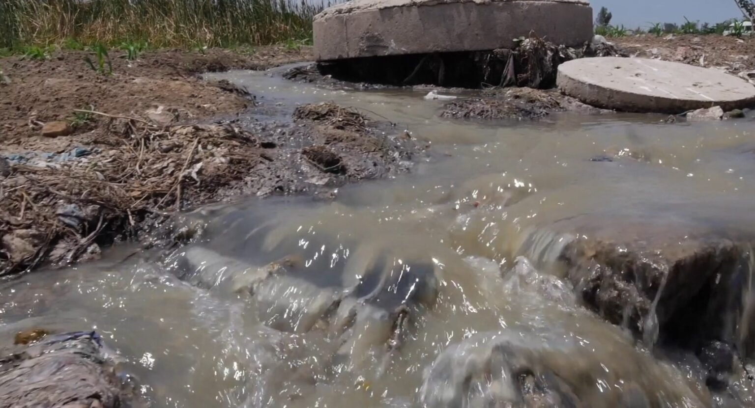 Water-borne diseases rise sharply across Zimbabwe - All Zim News