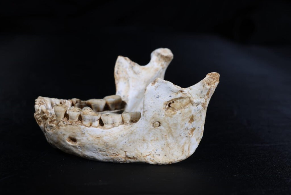Human fossils unearthed in Casablanca, Morocco, shed unprecedented ...