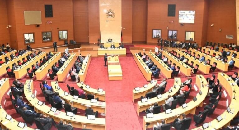 MPs thrown off balance on CDF Bill - All Zim News